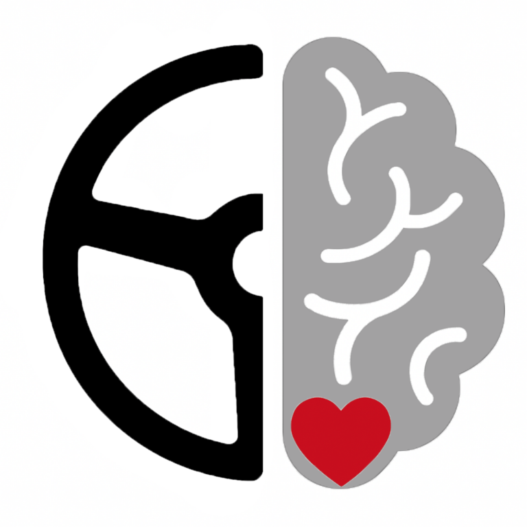 Strategies Transforming Executive-Function and Emotion Regulation to ...
